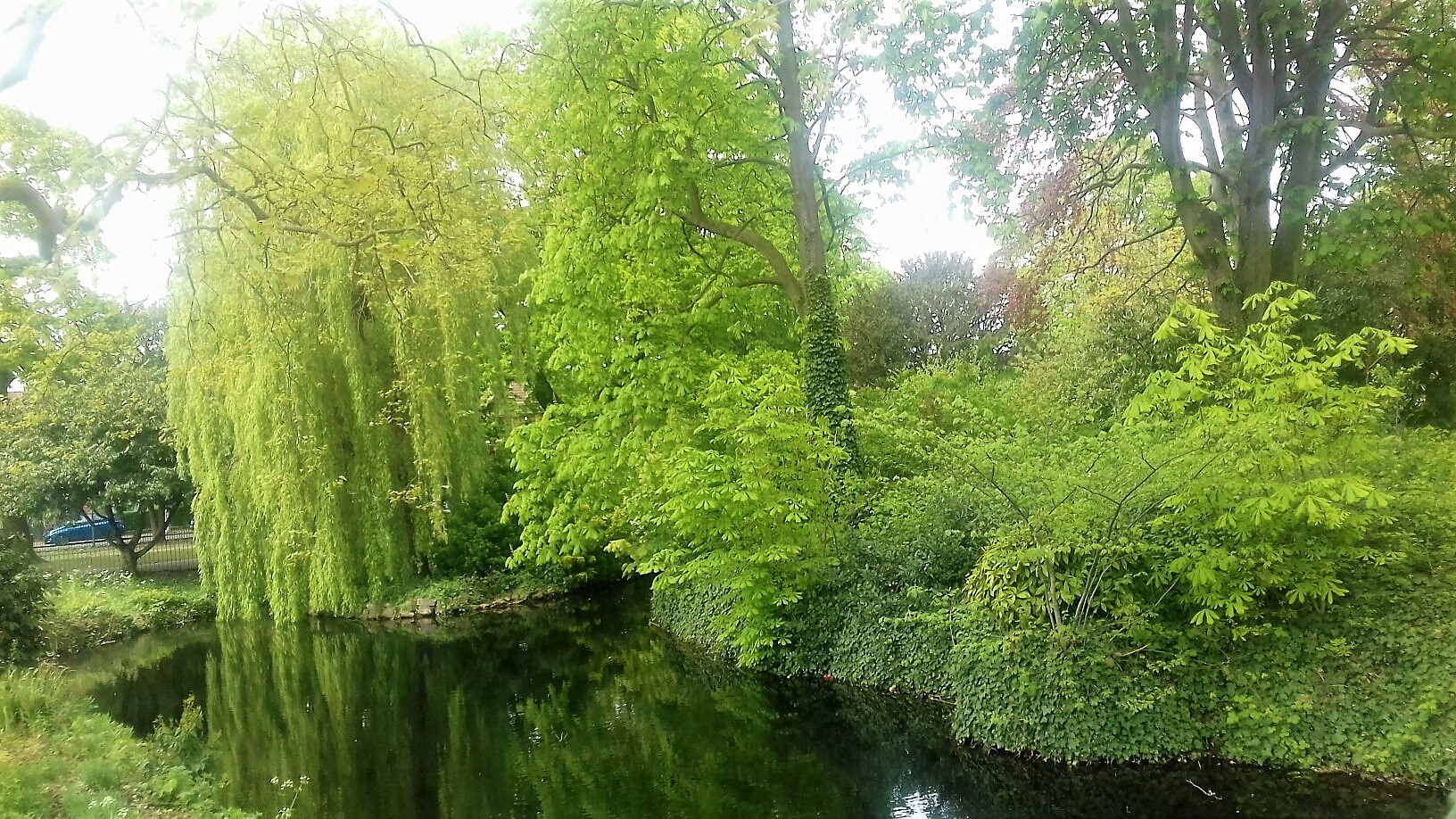 Common Summer | The Story Bazaar